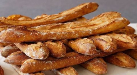 Stalaven STB poursuit sa croissance - Groupe Euralis