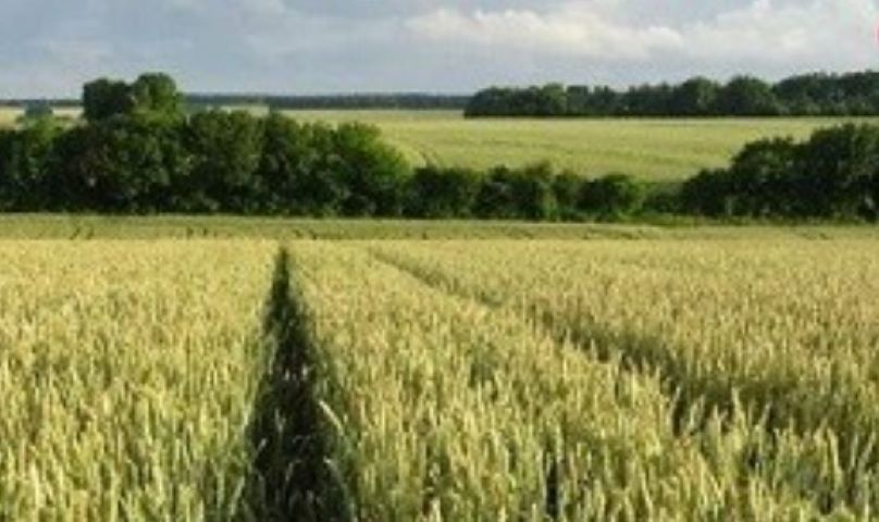 Stalaven STB poursuit sa croissance - Groupe Euralis