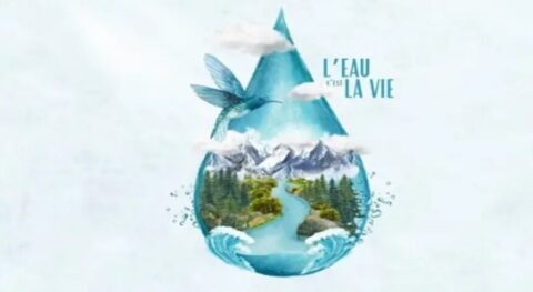 Stalaven STB poursuit sa croissance - Groupe Euralis